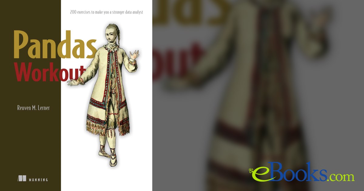 Pandas Workout by Reuven Lerner (ebook)