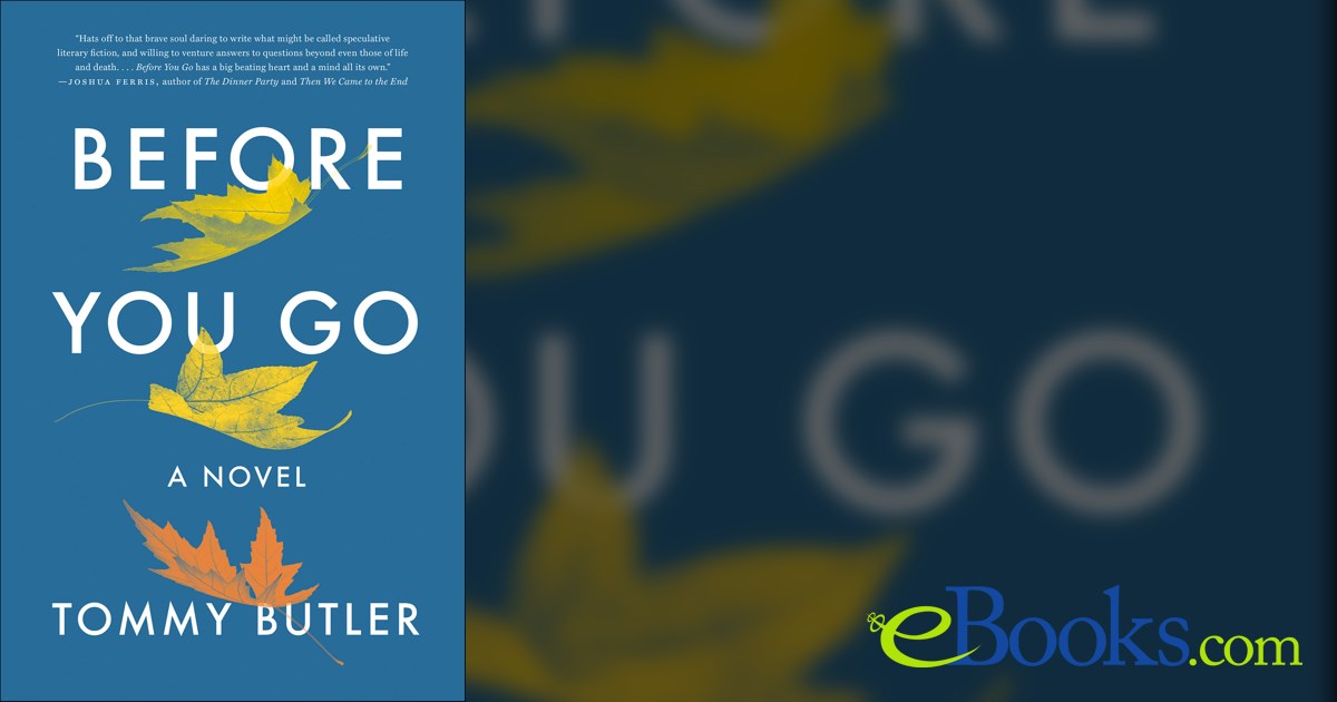 Before You Go by Tommy Butler (ebook)