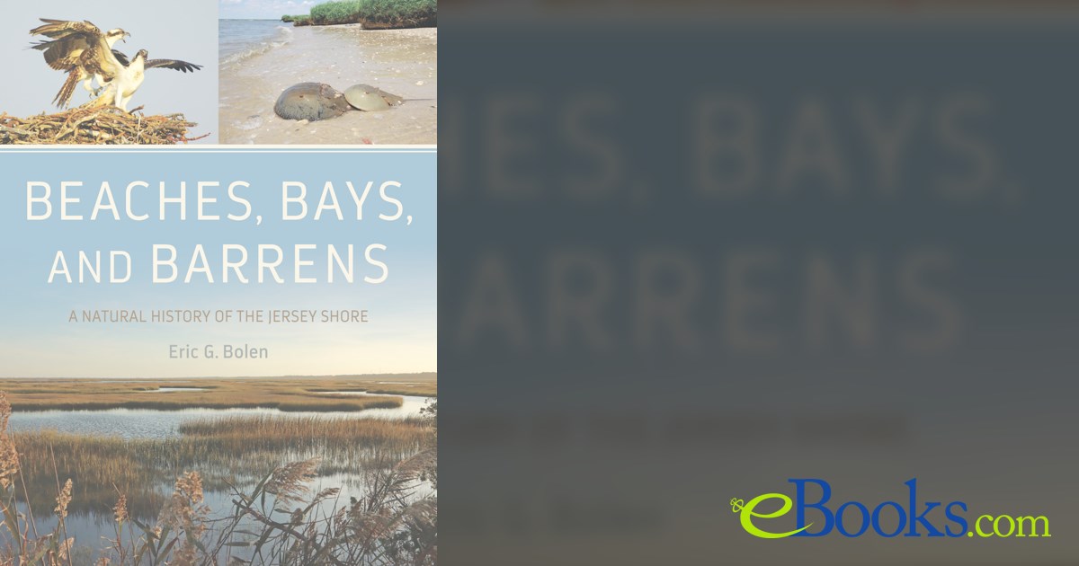 Beaches, Bays, and Barrens by Eric G. Bolen (ebook)