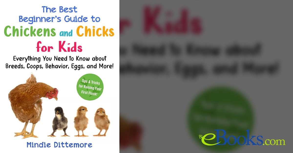 The Best Beginner's Guide to Chickens and Chicks for Kids