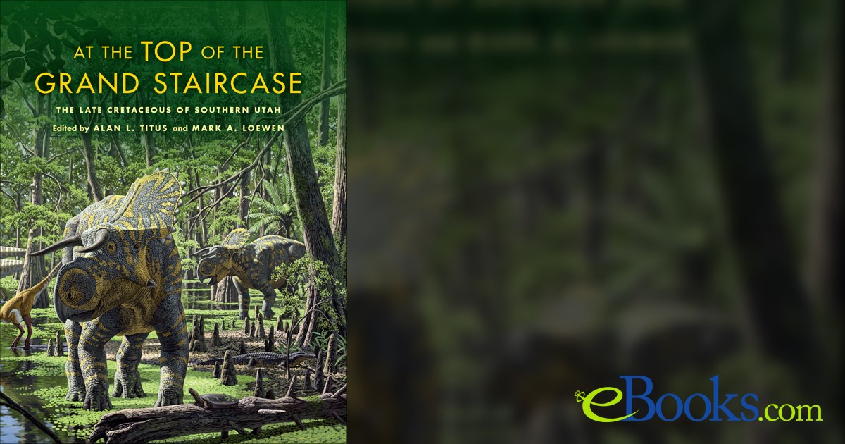 At the Top of the Grand Staircase by Alan L. Titus (ebook)