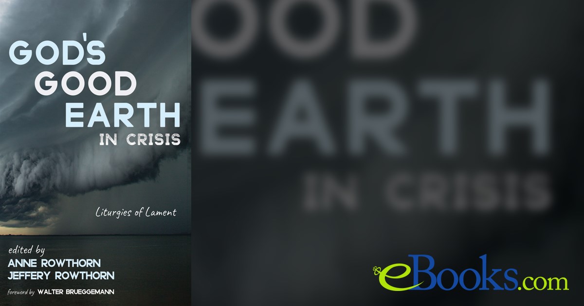 God’s Good Earth in Crisis by Anne Rowthorn (ebook)