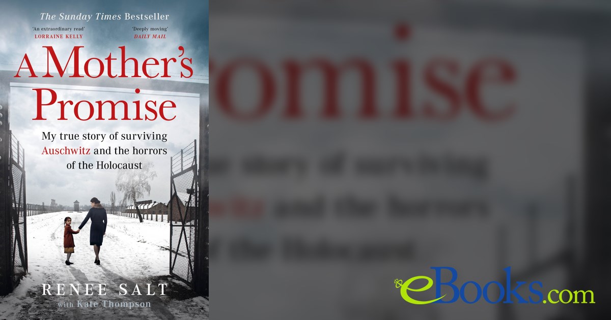A Mother's Promise by Renee Salt (ebook)