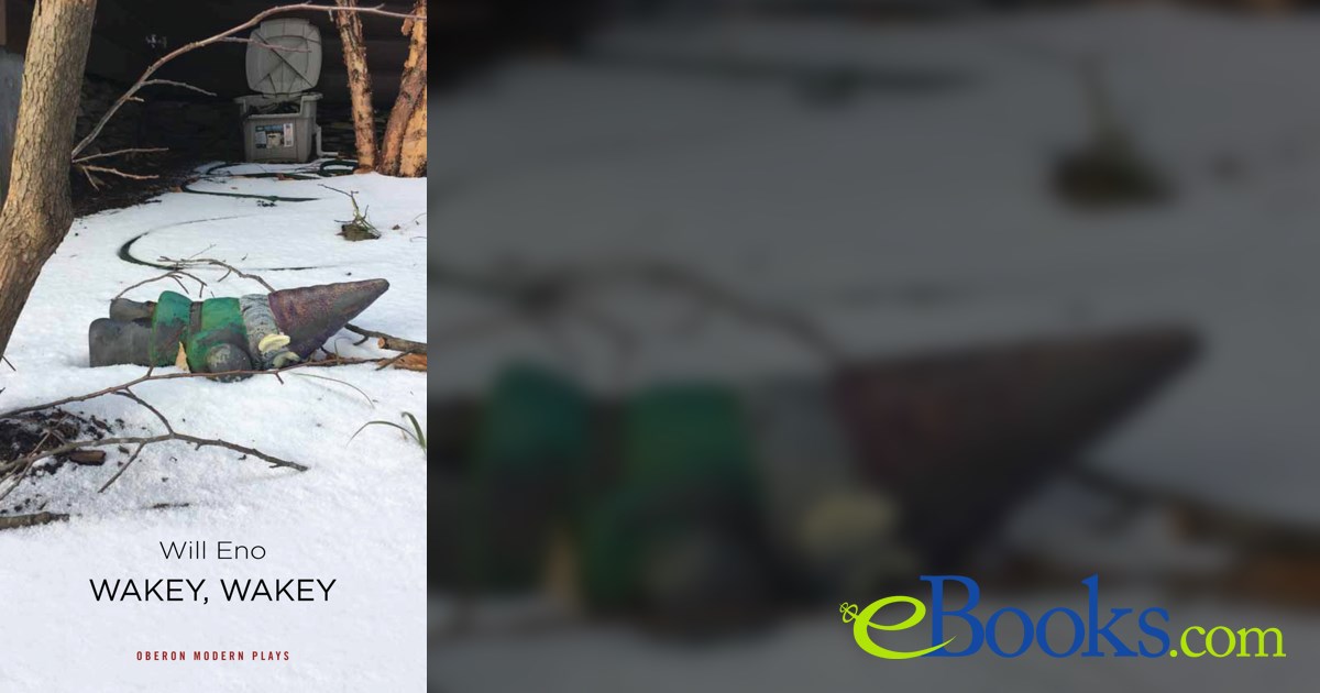 Wakey Wakey by Will Eno (ebook)