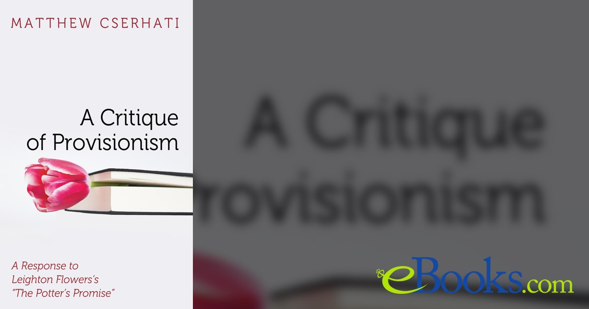 A Critique of Provisionism by Matthew Cserhati (ebook)