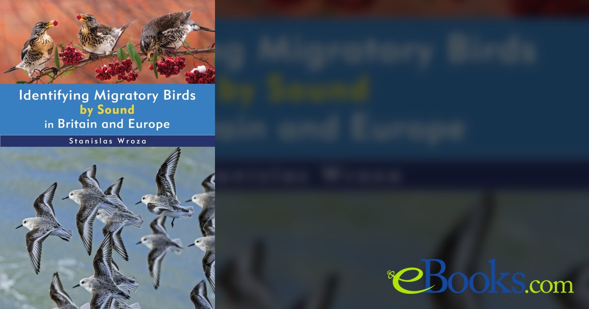 Identifying Migratory Birds by Sound in Britain and Europe