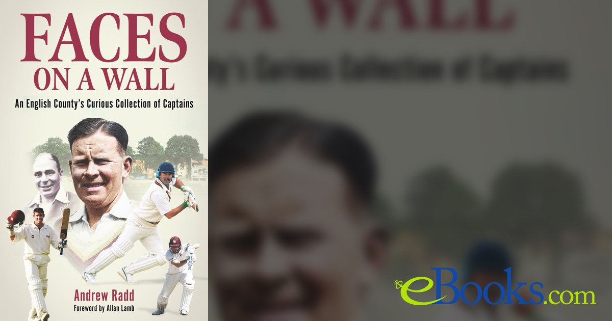 Faces On A Wall by Andrew Radd (ebook)