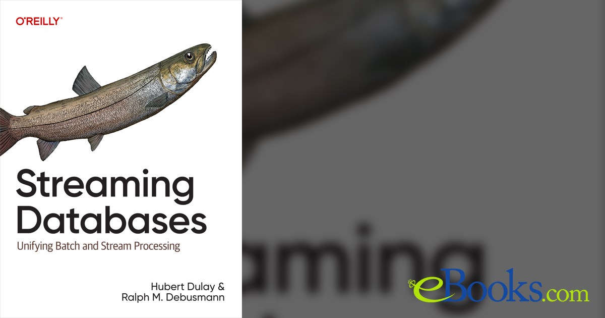 Streaming Databases by Hubert Dulay (ebook)