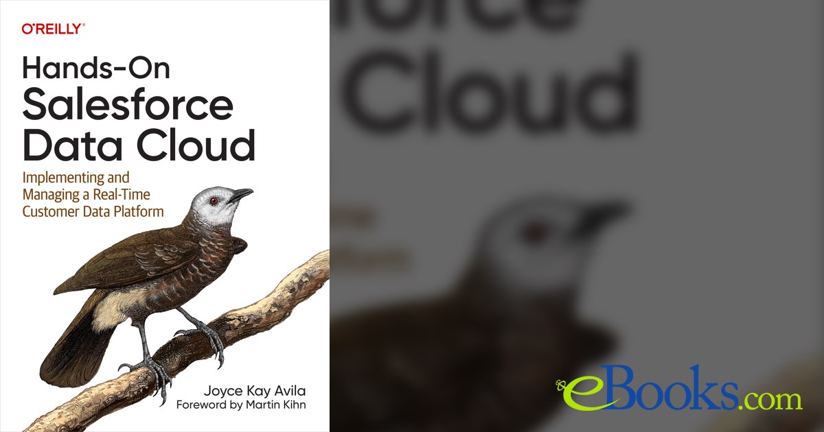 Hands-On Salesforce Data Cloud by Joyce Kay Avila (ebook)
