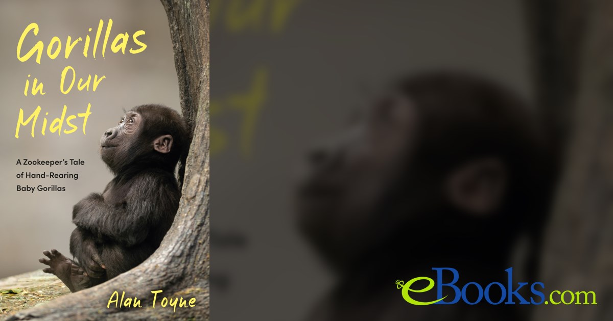 Gorillas in Our Midst by Alan Toyne (ebook)