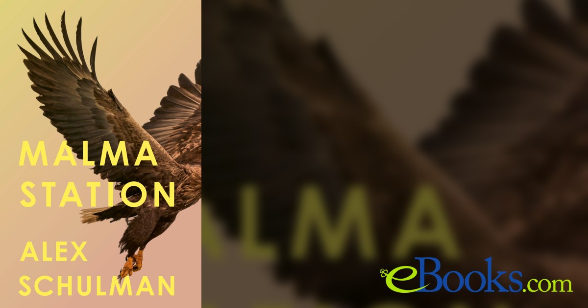 Malma Station by Alex Schulman (ebook)