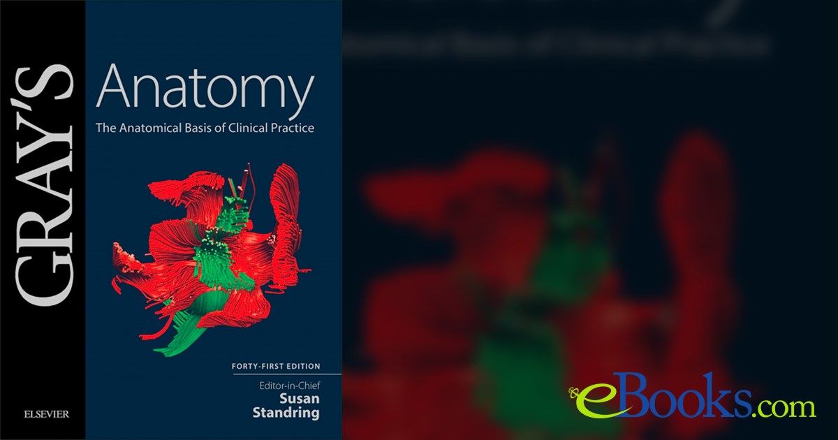 Gray's Anatomy E-Book (41st ed.) by Susan Standring (ebook)
