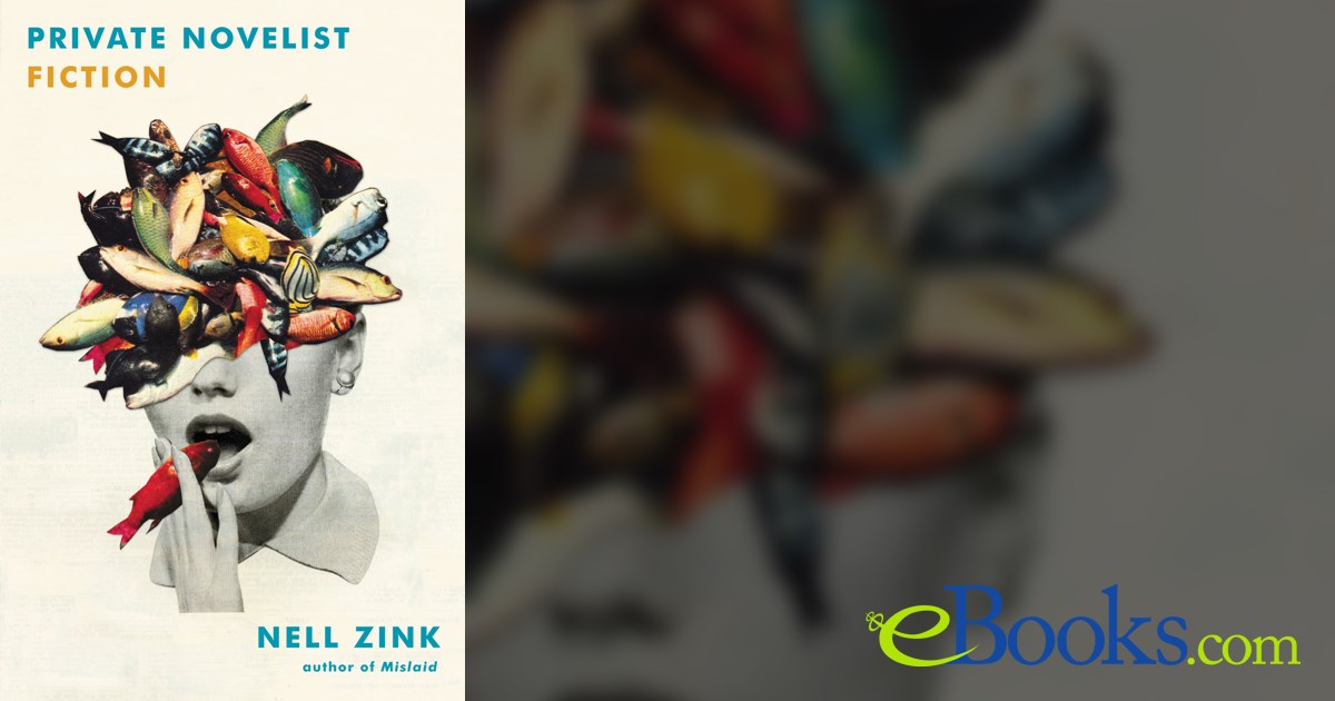 Private Novelist by Nell Zink (ebook)