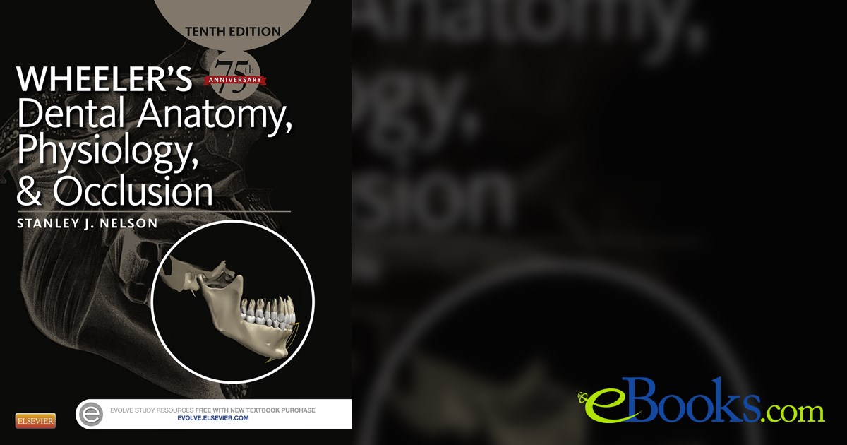 Wheeler's Dental Anatomy, Physiology and Occlusion - E-Book