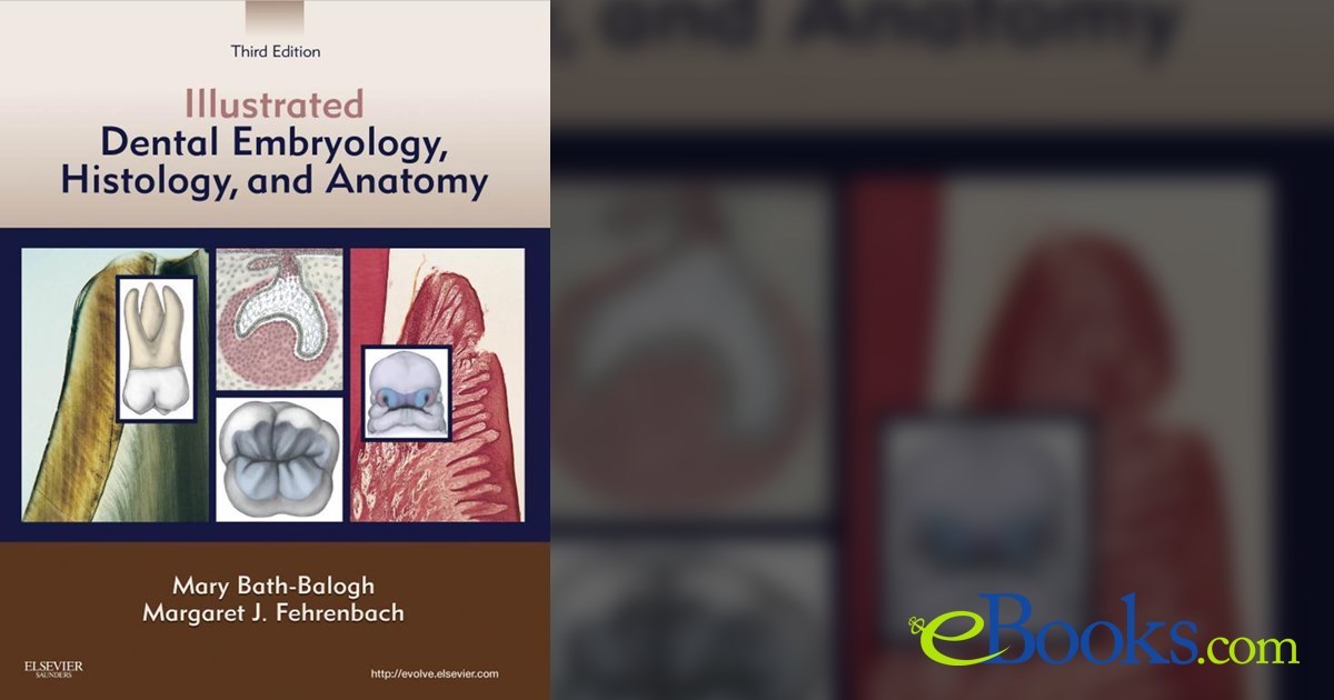 Illustrated Dental Embryology, Histology, and Anatomy - E-Book