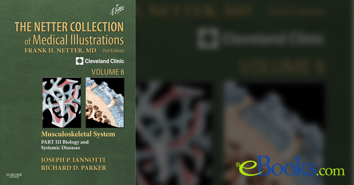 The Netter Collection of Medical Illustrations: Musculoskeletal System ...