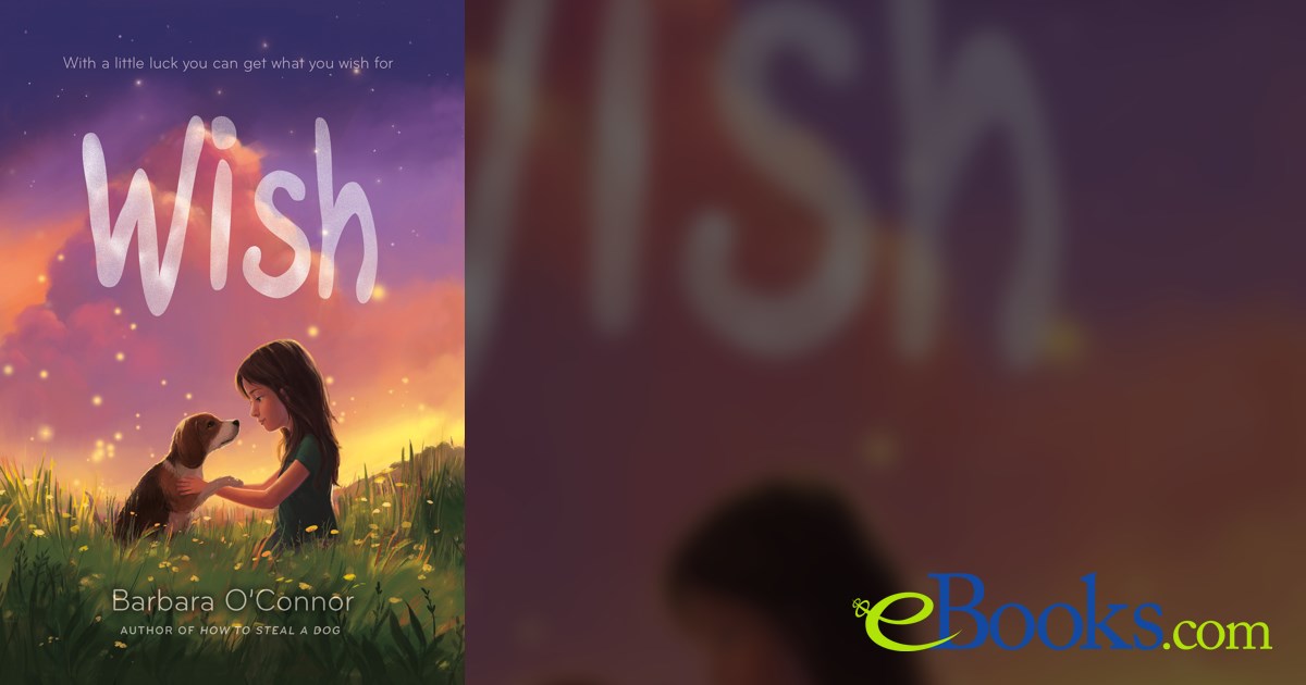 Wish by Barbara O'Connor (ebook)