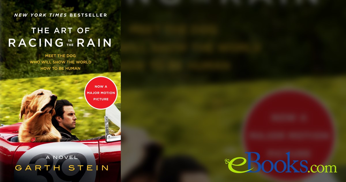 The Art of Racing in the Rain by Garth Stein (ebook)
