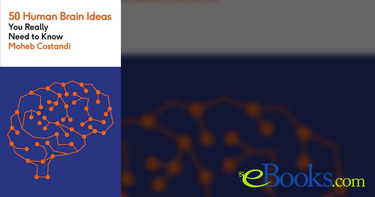 50 Human Brain Ideas You Really Need to Know