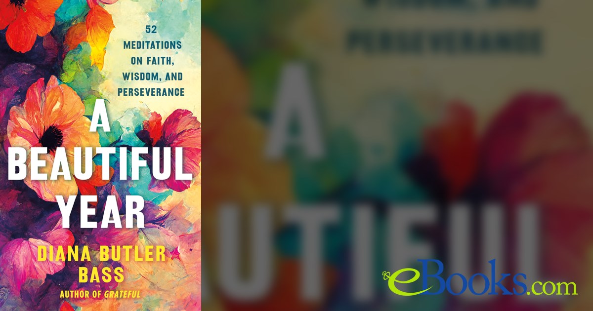 A Beautiful Year by Diana Butler Bass (ebook)