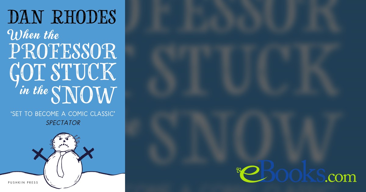 When the Professor Got Stuck in the Snow by Dan Rhodes (ebook)