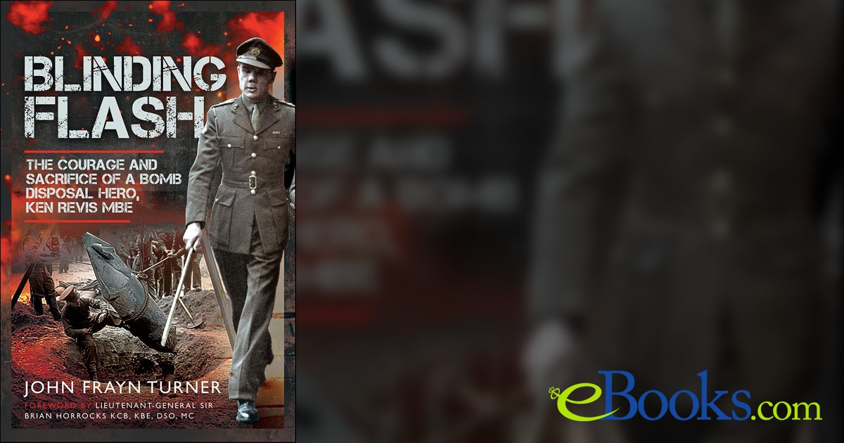 Blinding Flash by John Frayn Turner (ebook)