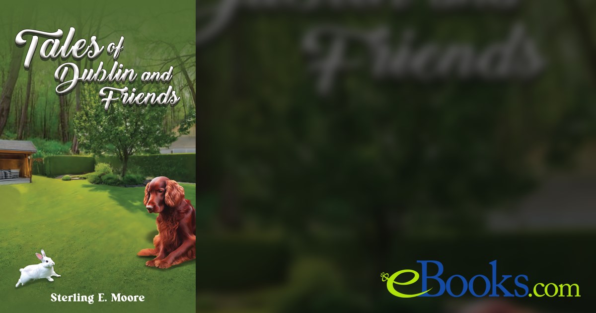 Tales of Dublin and Friends by Sterling E. Moore (ebook)