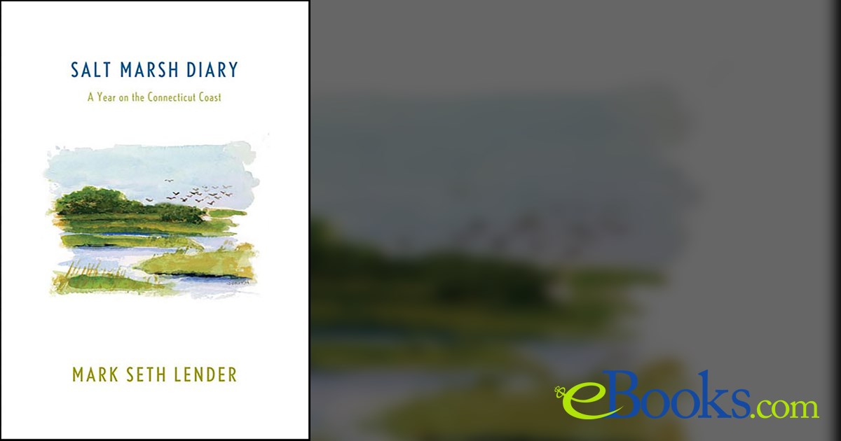 Salt Marsh Diary by Mark Seth Lender (ebook)