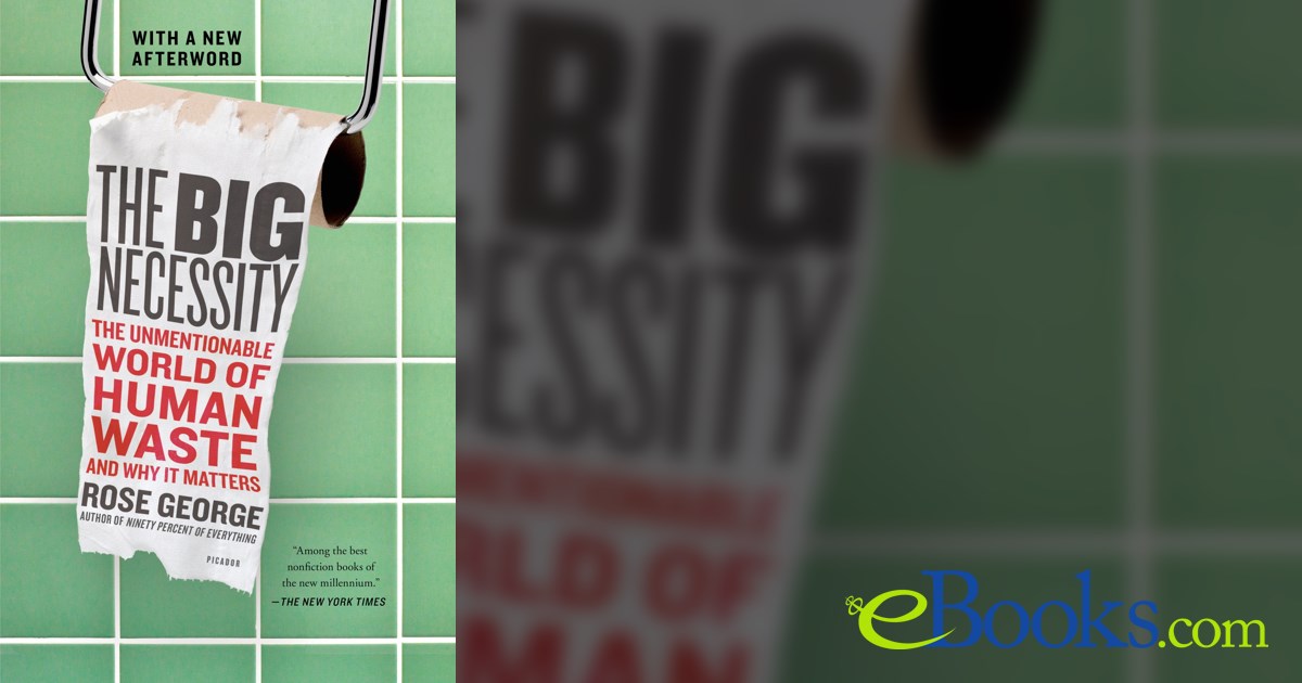 The Big Necessity by Rose George (ebook)