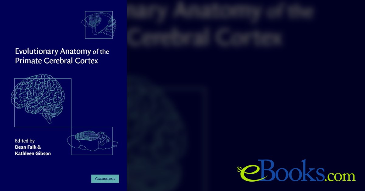 Evolutionary Anatomy of the Primate Cerebral Cortex