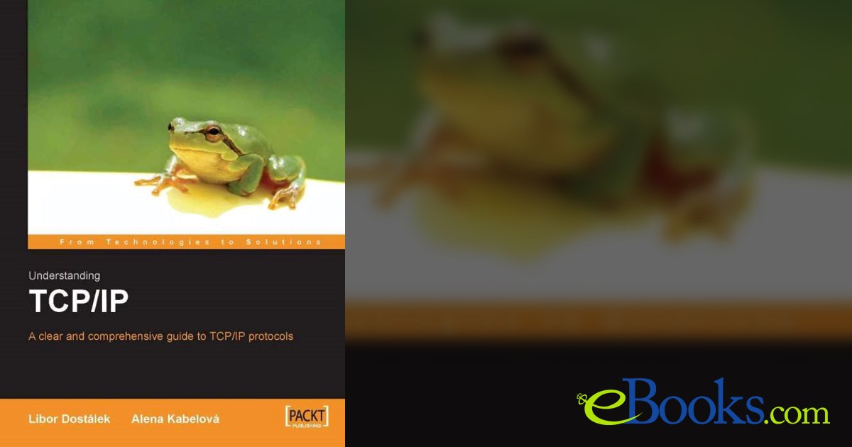 Understanding TCP/IP by Alena Kabelova (ebook)