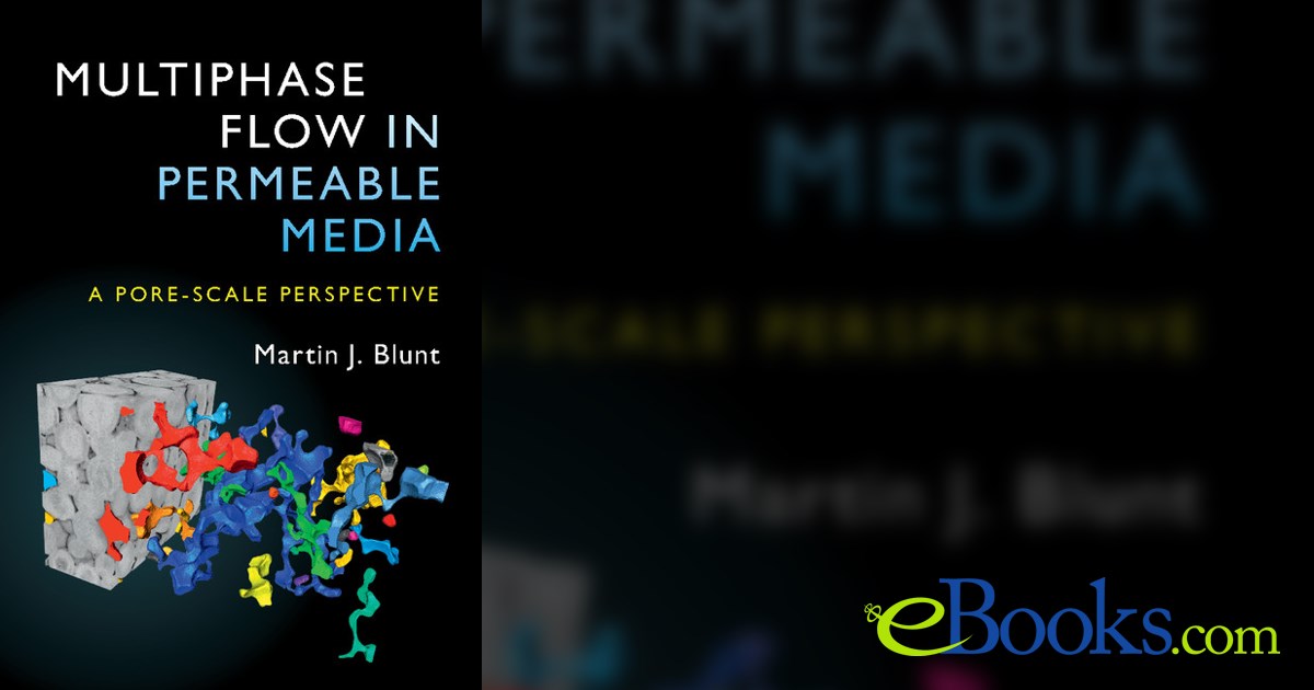 Multiphase Flow in Permeable Media by Martin J. Blunt (ebook)