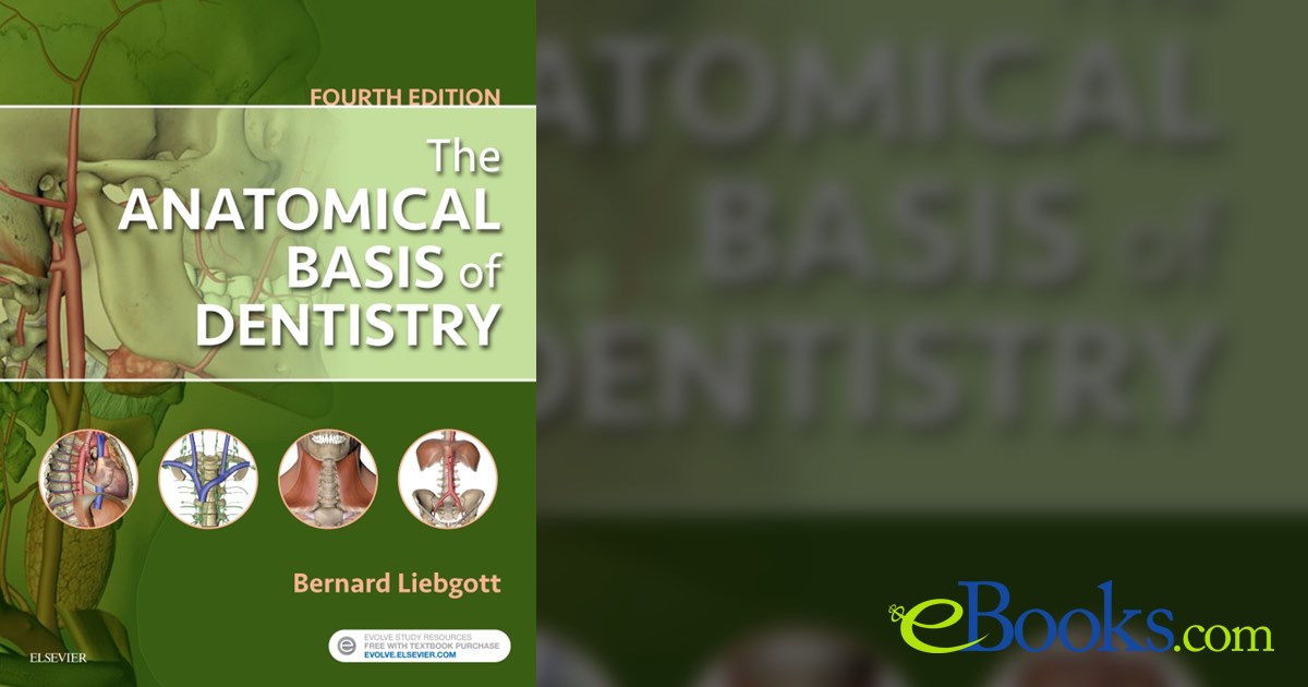 The Anatomical Basis of Dentistry - E-Book (4th ed.)