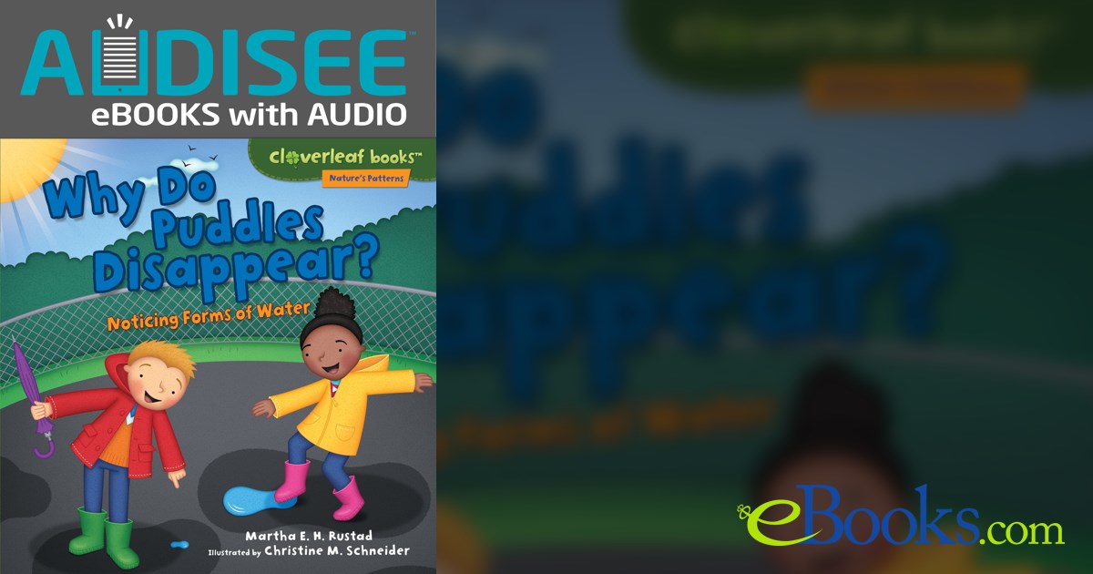 Why Do Puddles Disappear? by Martha E. H. Rustad (ebook)