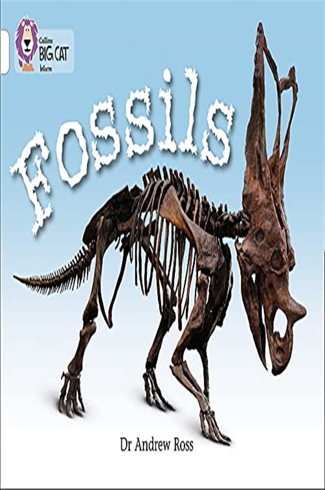 Fossils: Band 10/ White (Collins Big Cat) by Dr Andrew Ross (ebook)