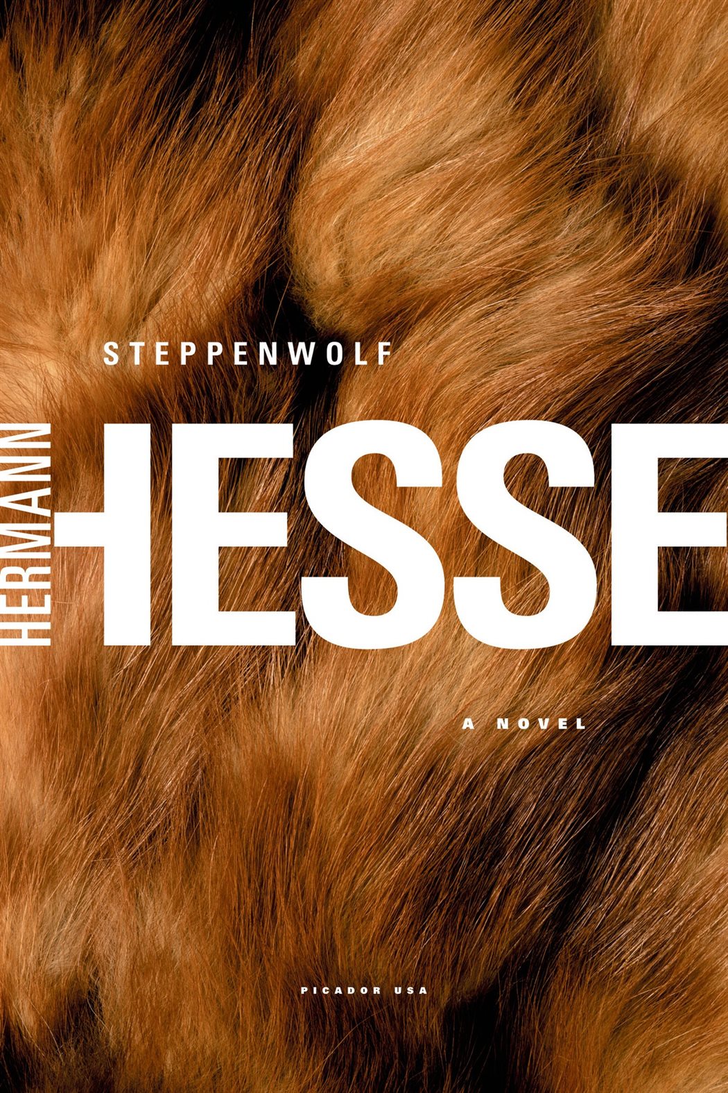 Steppenwolf by Hermann Hesse (ebook)