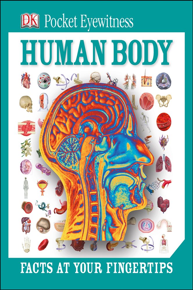 Pocket Eyewitness Human Body by DK (ebook)