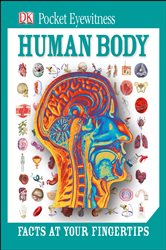 Pocket Eyewitness Human Body by DK (ebook)