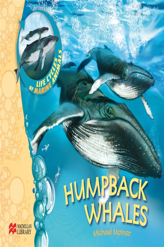 Life Cycles of Marine Animals: Humpback Whales