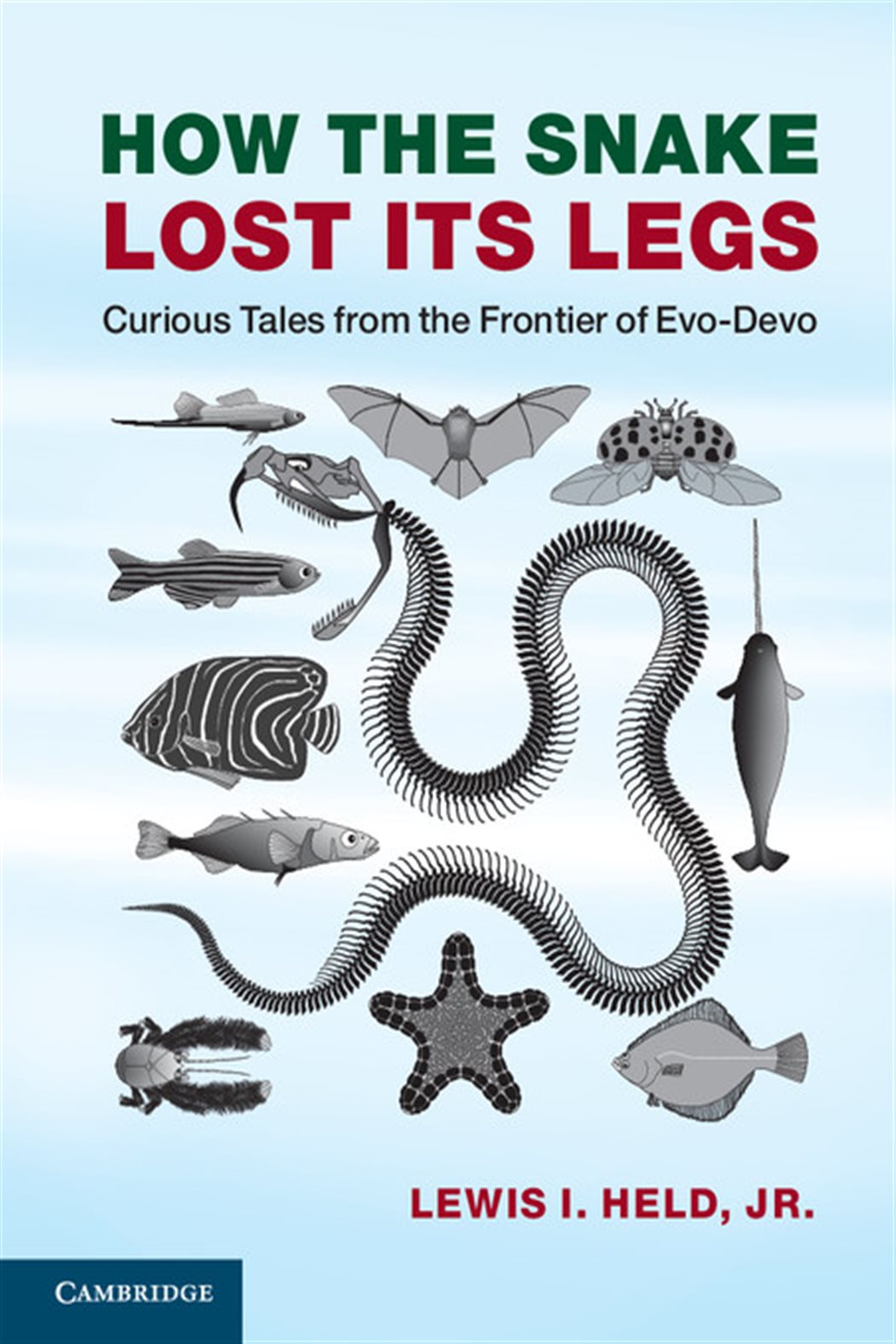 How the Snake Lost its Legs by Held, Jr, Lewis I. (ebook)