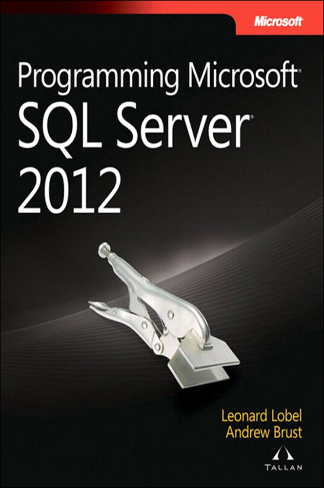 Programming Microsoft SQL Server 2008 by Andrew Brust (ebook)