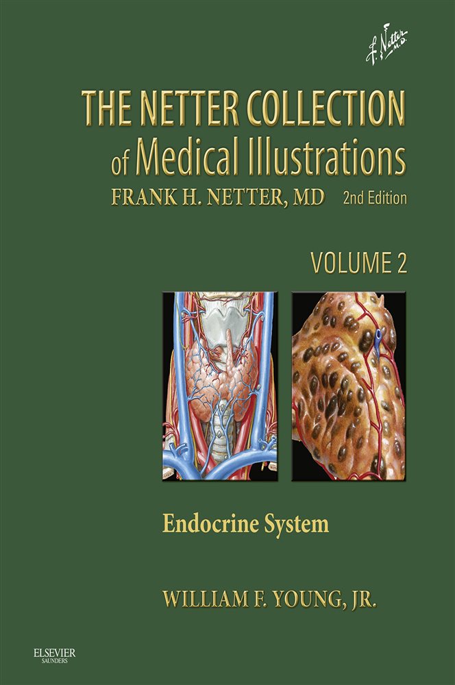 Netter Collection of Medical Illustrations: Endocrine System E-book