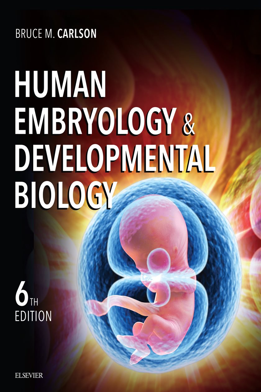 Human Embryology and Developmental Biology (6th ed.)