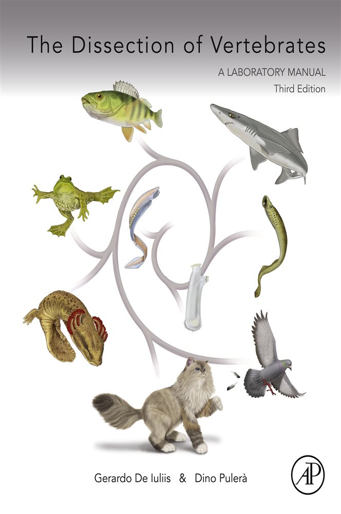 The Dissection of Vertebrates (3rd ed.)