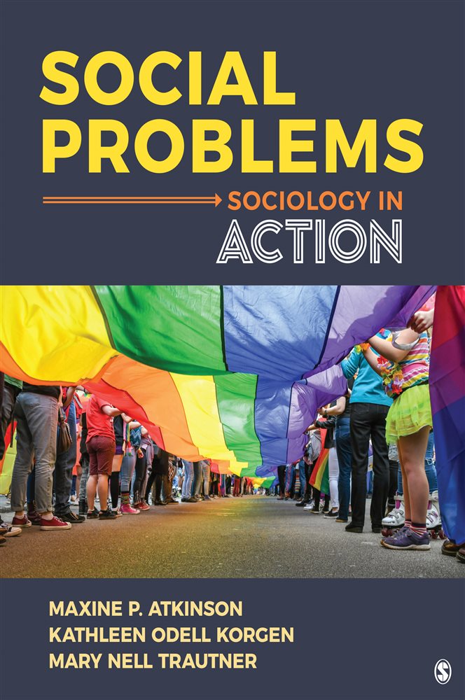 Social Problems by Maxine P. Atkinson (ebook)