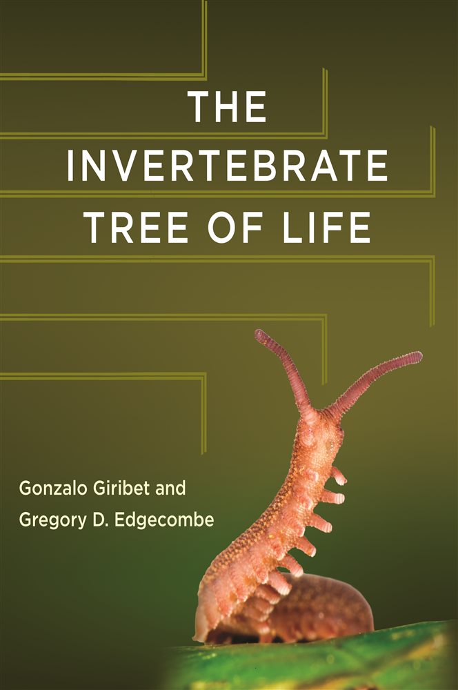 The Invertebrate Tree of Life by Gonzalo Giribet (ebook)