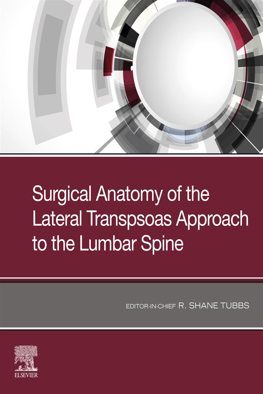 Surgical anatomy of the lateral transpsoas approach to the lumbar spine ...