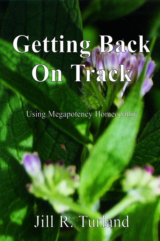 Getting Back On Track by jill R Turland (ebook)