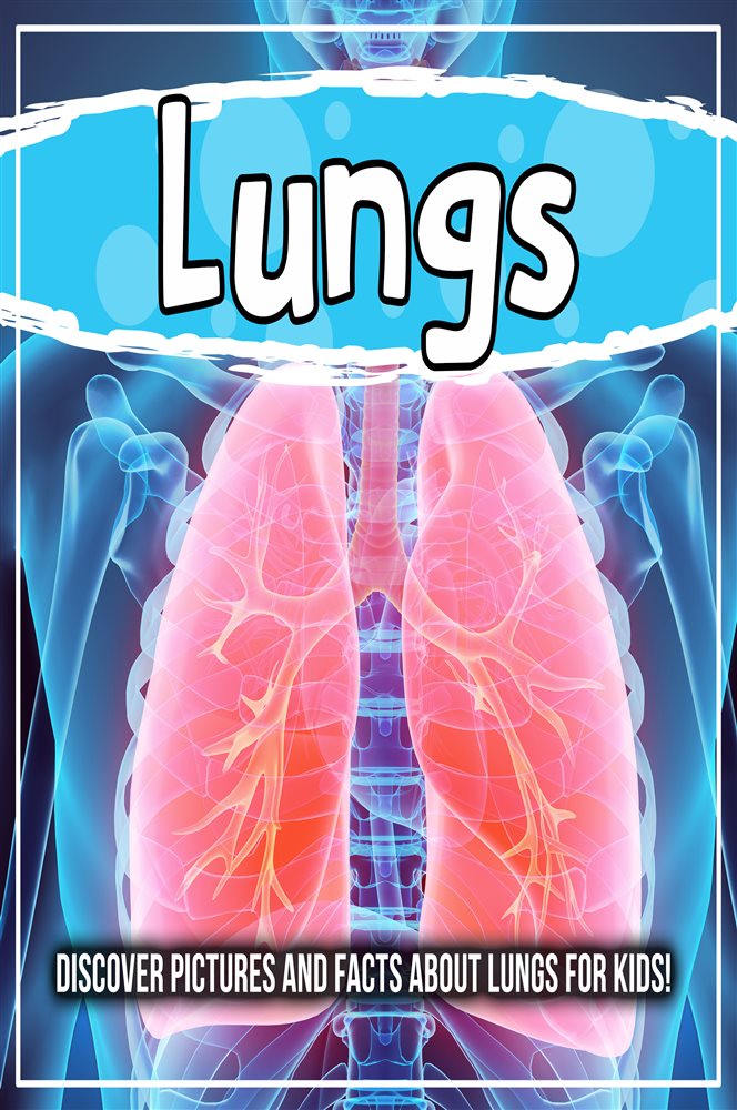 Lungs: Discover Pictures and Facts About Lungs For Kids!