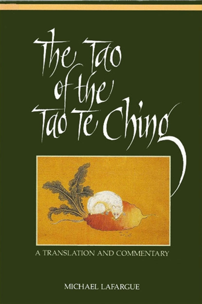 The Tao of the Tao Te Ching by Michael LaFargue (ebook)
